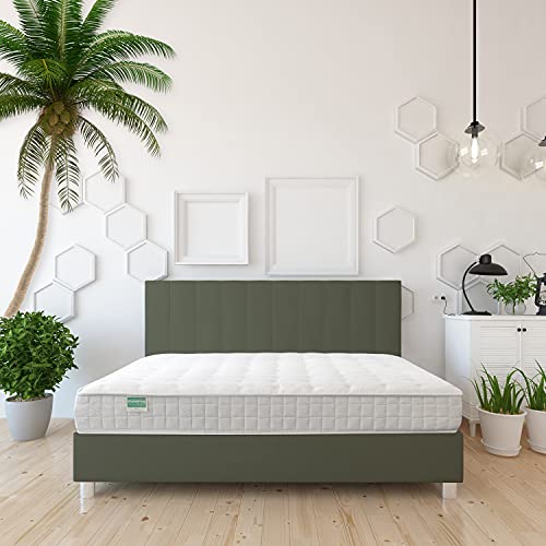 NATURAL LIFE PALMPRING Kochi Queen Mattress - Organic Latex Coconut Coir 6” Medium Firm 2 Layer Comfortable Sleep Bed Dust Free