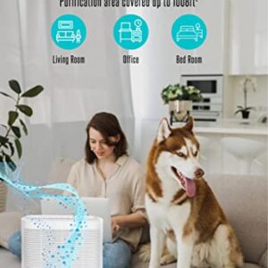 Zestaire Alpha 3 Air Purifier | 4 in 1 - UV Light + H13 True HEPA + Carbon Filter + Prefilter | Sleep Mode | 1008 sq ft. Coverage | Air Purifier for Pets, Home Air Cleaner