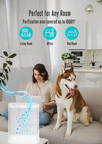 Zestaire Alpha 3 Air Purifier | 4 in 1 - UV Light + H13 True HEPA + Carbon Filter + Prefilter | Sleep Mode | 1008 sq ft. Coverage | Air Purifier for Pets, Home Air Cleaner