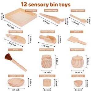 Crisschirs Sensory Bin Tools with Wooden Box, Montessori Toys for Toddlers, Sensory Toys, Set of 12 Wooden Scoops and Wooden Tongs for Transfer Work and Fine Motor Learning (Brush 12 Sensory Toys)