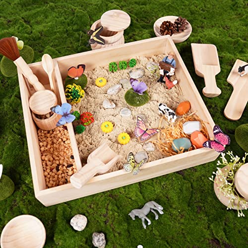 Crisschirs Sensory Bin Tools with Wooden Box, Montessori Toys for Toddlers, Sensory Toys, Set of 12 Wooden Scoops and Wooden Tongs for Transfer Work and Fine Motor Learning (Brush 12 Sensory Toys)