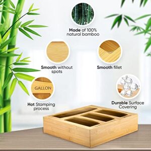 Bamboo Ziplock Bag Storage Organizer for Drawer and Kitchen Wall Mount, Food Storage Bag Holders, Gallon Quart Snack Sandwich and Slider Bag Dispenser