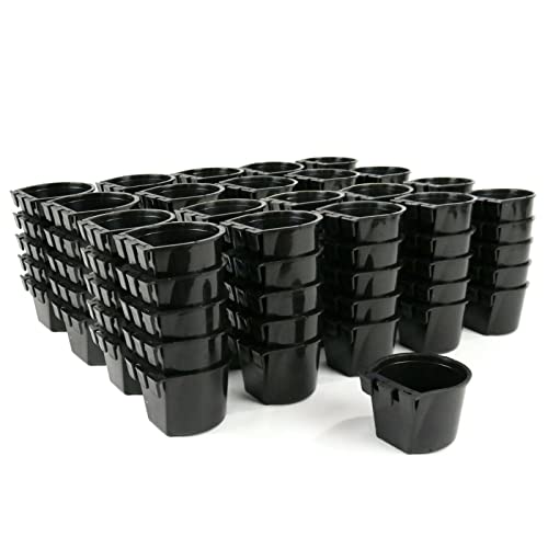 The ROP Shop | (Pack of 100) Black Cage Cups for Feed & Water for Poultry, Duck, Bird, Hamster