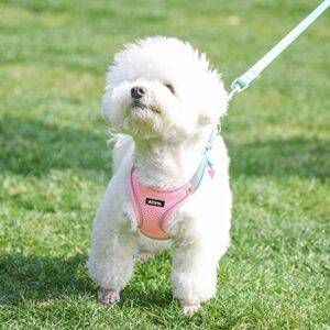 AIITLE Pet Supply No Pull, Step in Adjustable Dog Harness with Padded Vest for All Weather, Easy to Put on Small and Medium Dogs Pink S