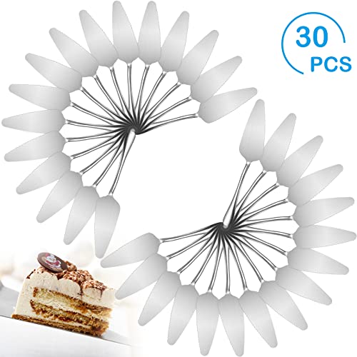 Baderke 30 Pcs Pie Server Stainless Steel Cake Pie Pastry Server Rustic Cake Server Professional Pie Spatula Pie Serving Utensil for Pizza Dessert Cheese Cutting, 9 Inches, Silver