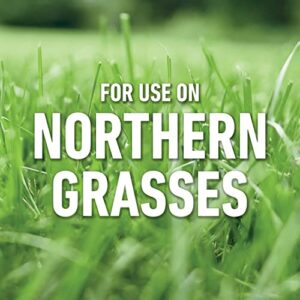 Roundup for Lawns₁ Ready-to-Use - Tough Weed Killer for Use On Northern Grasses, Extended Reach Wand, 1.33 gal.