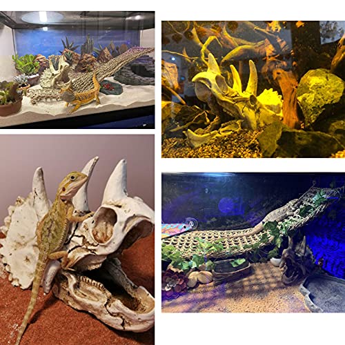 Tfwadmx Bearded Dragon Tank Accessories Resin Dinosaur Triceratops Skull Lizard Hammock Reptiles Habitat Hideout Cave for Lizard Chameleon Snake Spider Frog Gecko