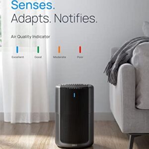 Dreo Air Purifiers for Bedroom Home Large Room, H13 True HEPA Filter for Allergies Pets, 283 ft² Coverage, 20dB Quiet Operation with 360° Filtration, Graphite, 9.84 * 9.84 * 15.2, (DR-HAP002DB)