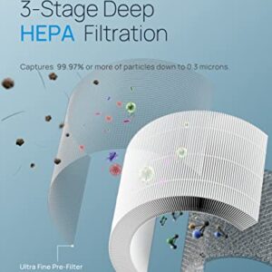 Dreo Air Purifiers for Bedroom Home Large Room, H13 True HEPA Filter for Allergies Pets, 283 ft² Coverage, 20dB Quiet Operation with 360° Filtration, Graphite, 9.84 * 9.84 * 15.2, (DR-HAP002DB)