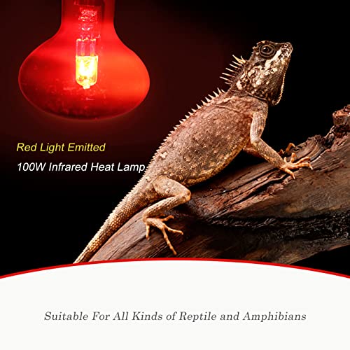 100W Red Reptile Heat Lamp, Infrared UVA Basking Spot Bulb, Red Glass Cover Heat Bulbs for Reptiles and Amphibian Use, Gecko, Snake, Lizard, Ball Python, Chameleon, 2 Pack