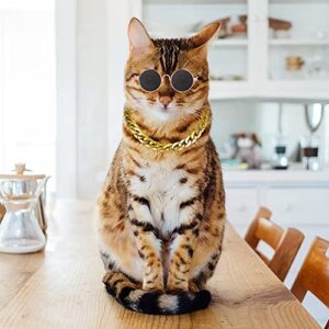 Molain Cat Sunglasses Gold Chain Costume Decorations- Cat UV Protection Classic Retro Puppy Retro Black Sunglasses Faux Gold Adjustable Chain Cosplay Costume Cool Funny Photo Props