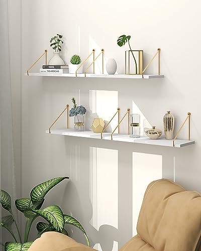 SUMGAR White Floating Shelves 16 Inch Gold Wall Mounted Floating Shelf for Bathroom Bedroom Kitchen Office Set of 2 Modern Wood Haing Shelf for Plant Book Storage and Display