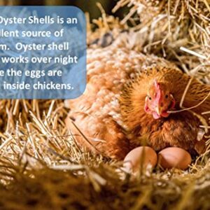 Pacific Oyster Shells - Crushed Oyster Shell Calcium Supplement for Egg-Laying Poultry (Chickens & Ducks) 5lb