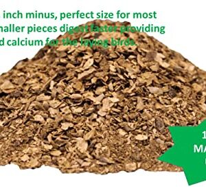 Pacific Oyster Shells - Crushed Oyster Shell Calcium Supplement for Egg-Laying Poultry (Chickens & Ducks) 5lb