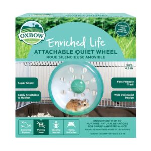 oxbow enriched life small animal accessories - exercise wheel for dwarf hamsters & mice - attachable quiet wheel (7 inch)