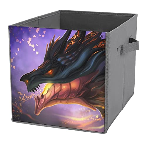 Cool Magma Dragon Collapsible Storage Bins Basics Folding Fabric Storage Cubes Organizer Boxes with Handles