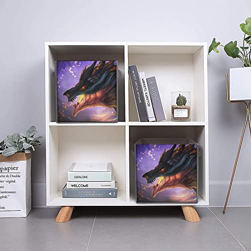 Cool Magma Dragon Collapsible Storage Bins Basics Folding Fabric Storage Cubes Organizer Boxes with Handles