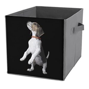 beagle collapsible storage bins basics folding fabric storage cubes organizer boxes with handles