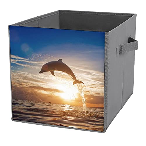 Ocean Sea Dolphin Jumping Collapsible Storage Bins Basics Folding Fabric Storage Cubes Organizer Boxes with Handles