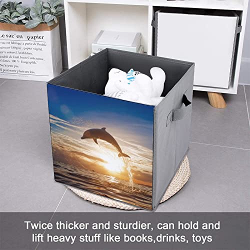 Ocean Sea Dolphin Jumping Collapsible Storage Bins Basics Folding Fabric Storage Cubes Organizer Boxes with Handles