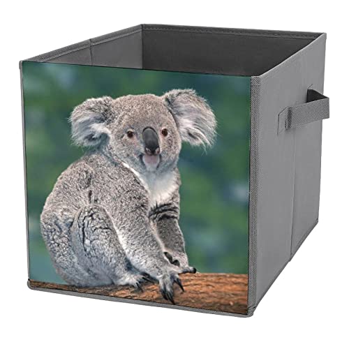 Cute Koala Bear Collapsible Storage Bins Basics Folding Fabric Storage Cubes Organizer Boxes with Handles