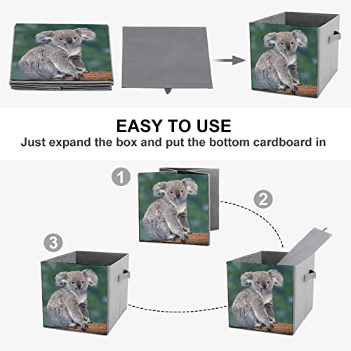 Cute Koala Bear Collapsible Storage Bins Basics Folding Fabric Storage Cubes Organizer Boxes with Handles