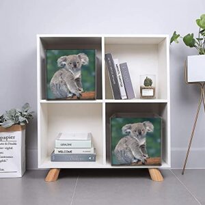 Cute Koala Bear Collapsible Storage Bins Basics Folding Fabric Storage Cubes Organizer Boxes with Handles