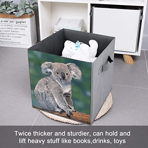 Cute Koala Bear Collapsible Storage Bins Basics Folding Fabric Storage Cubes Organizer Boxes with Handles