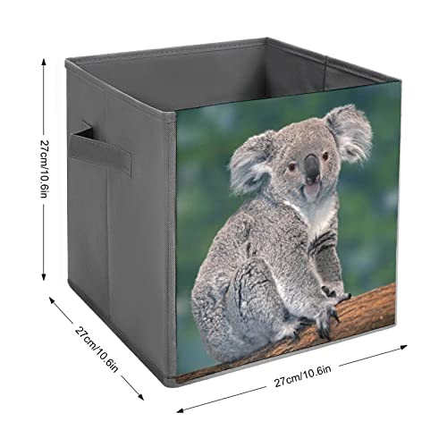 Cute Koala Bear Collapsible Storage Bins Basics Folding Fabric Storage Cubes Organizer Boxes with Handles