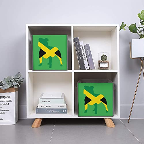 Pitbull Jamaica Flag Collapsible Storage Bins Basics Folding Fabric Storage Cubes Organizer Boxes with Handles