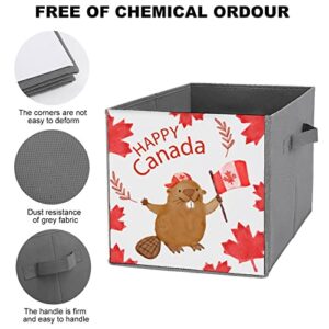 Canadian Flag Beaver Collapsible Storage Bins Basics Folding Fabric Storage Cubes Organizer Boxes with Handles