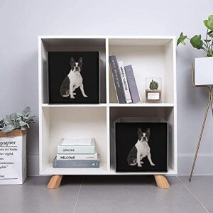 Boston Terrier Collapsible Storage Bins Basics Folding Fabric Storage Cubes Organizer Boxes with Handles