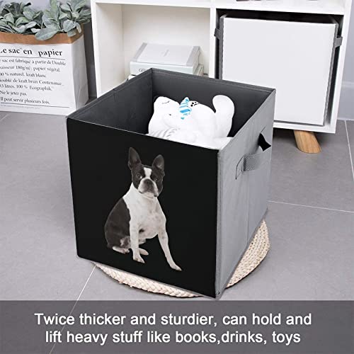 Boston Terrier Collapsible Storage Bins Basics Folding Fabric Storage Cubes Organizer Boxes with Handles