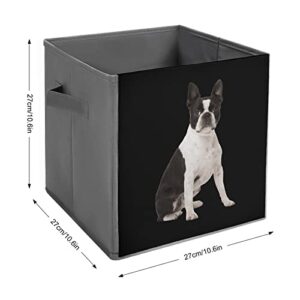 Boston Terrier Collapsible Storage Bins Basics Folding Fabric Storage Cubes Organizer Boxes with Handles