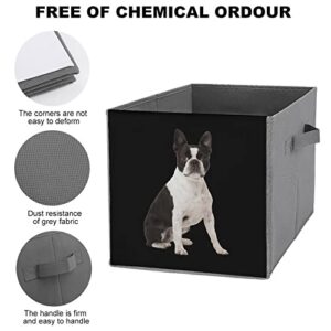 Boston Terrier Collapsible Storage Bins Basics Folding Fabric Storage Cubes Organizer Boxes with Handles