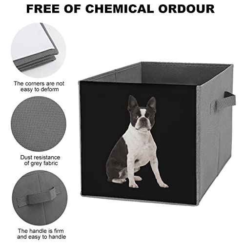 Boston Terrier Collapsible Storage Bins Basics Folding Fabric Storage Cubes Organizer Boxes with Handles