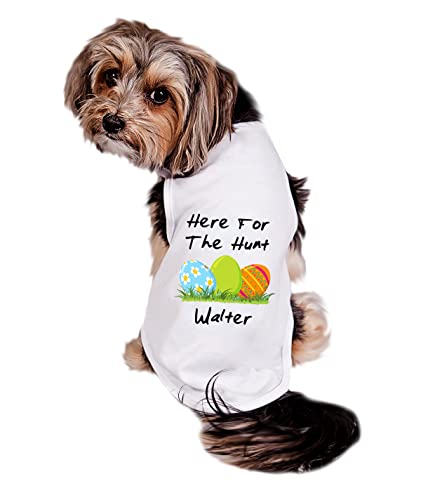 Here for The Hunt Easter Dog Shirt, Easter Egg Hunt Bunny Dog Shirt, Easter Shirt for Dogs, Easter Shirt for Dogs, Clothes for Pets (M 10-15 lbs)