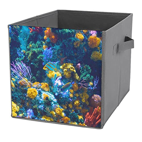 Ocean World Tropical Fish PU Leather Collapsible Storage Bins Canvas Cube Organizer Basket with Handles