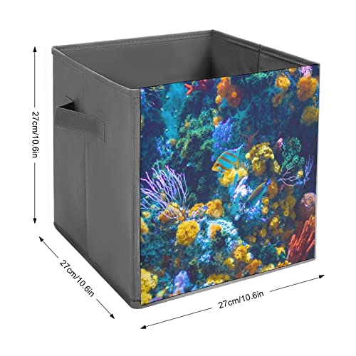 Ocean World Tropical Fish PU Leather Collapsible Storage Bins Canvas Cube Organizer Basket with Handles