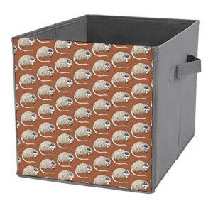 Fancy Opossum Foldable Storage Bins Printd Fabric Cube Baskets Boxes with Handles for Clothes Toys, 11x11x11