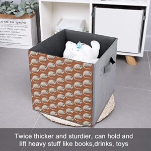 Fancy Opossum Foldable Storage Bins Printd Fabric Cube Baskets Boxes with Handles for Clothes Toys, 11x11x11