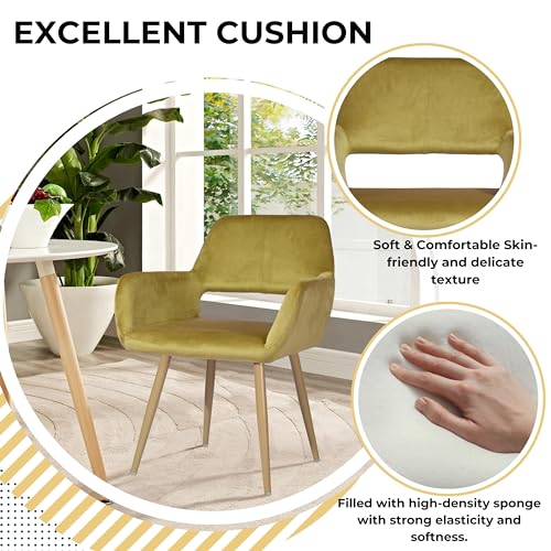 FurnitureR Velvet Dining Chair, Upholstered Fabric Leisure Accent Arm Side Club Guest Chair for Living Room, Set of 1, Yellow