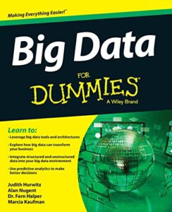 big data for dummies