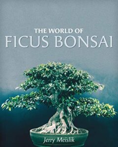 the world of ficus bonsai