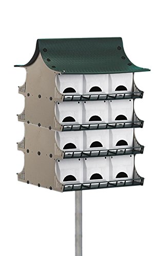 S and K Purple Martin House, 12 Room