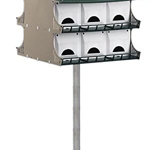 S and K Purple Martin House, 12 Room