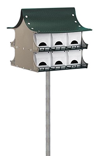 S and K Purple Martin House, 12 Room