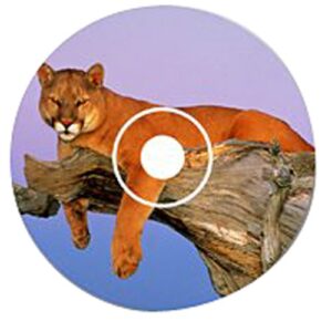 wild cats (jewel case)