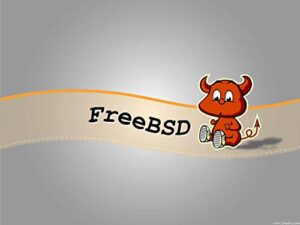 freebsd 4.5