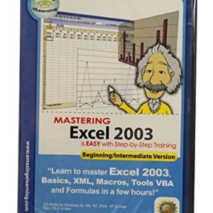 Mastering Excel 2003